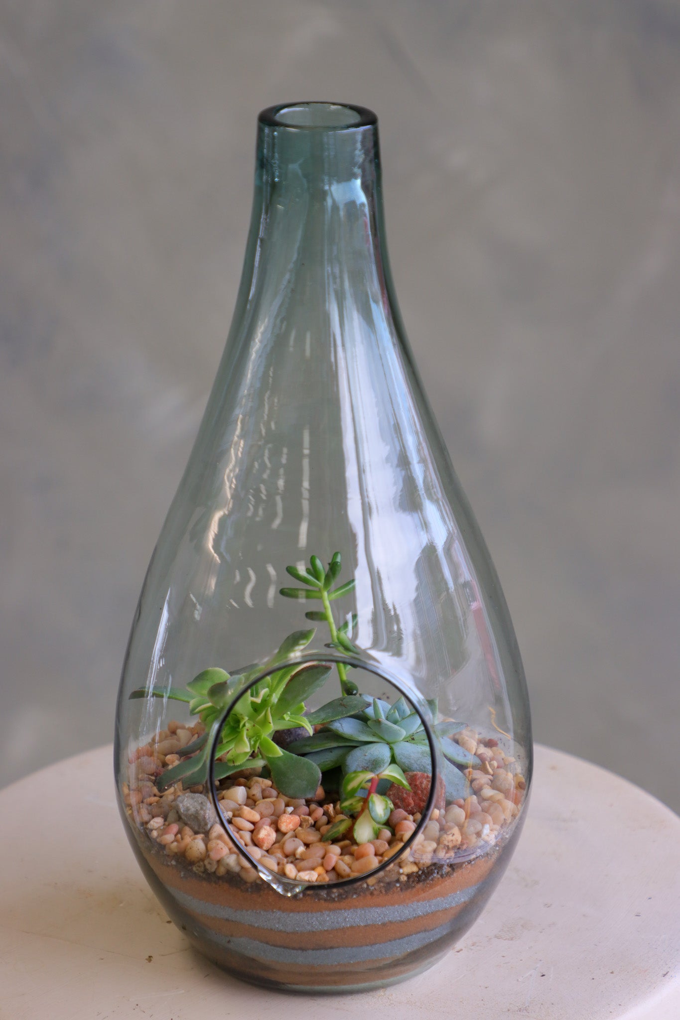 Glass Oasis Terrarium – Bonsai Ottawa