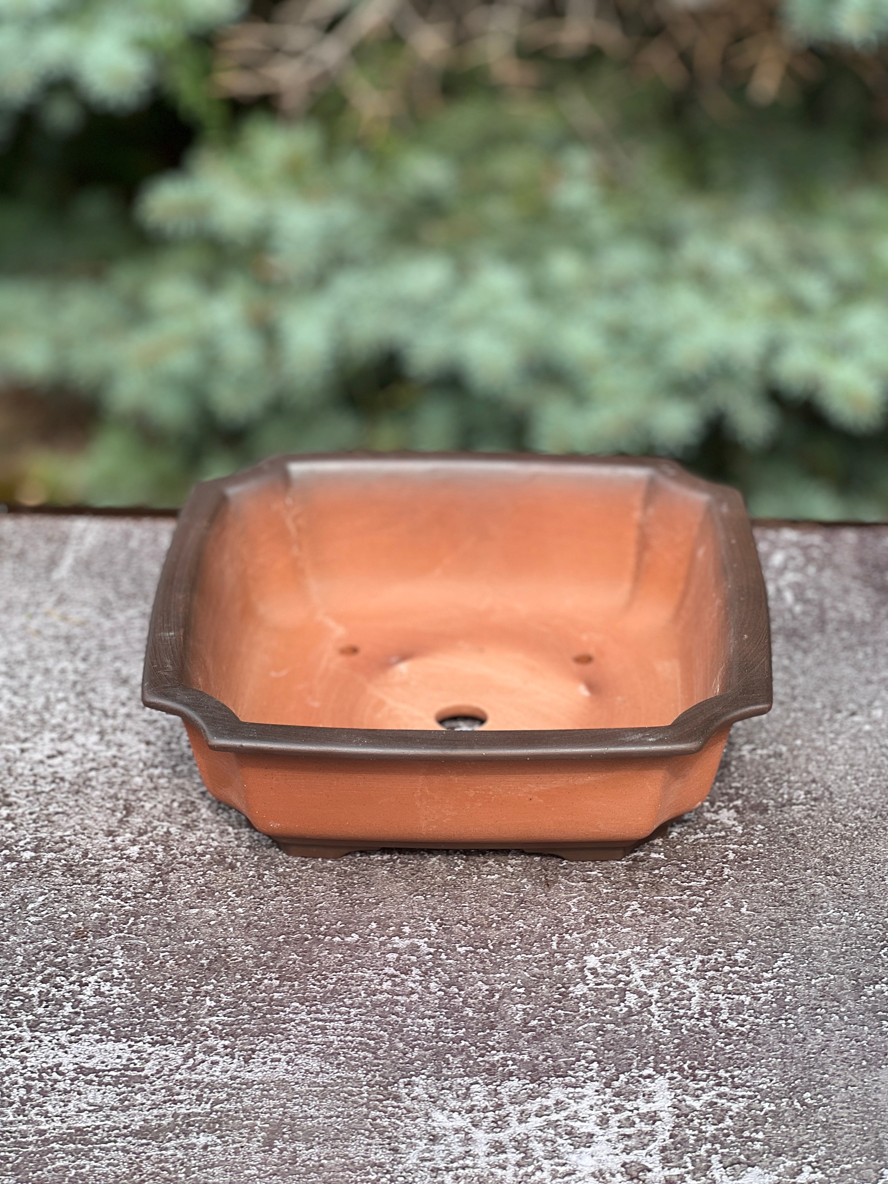 Handmade Ceramic Pot – Bonsai Ottawa